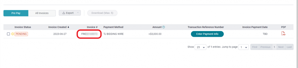 Guide: Wire Transfer Payments on TrafficJunky