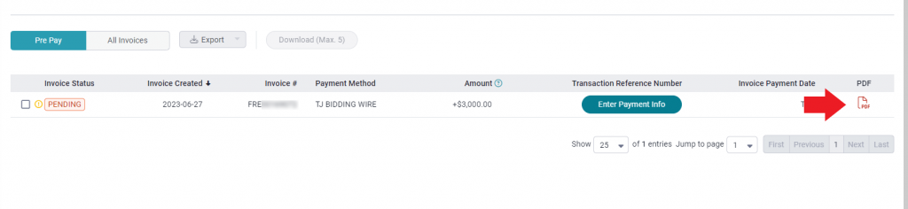 Guide: Wire Transfer Payments on TrafficJunky